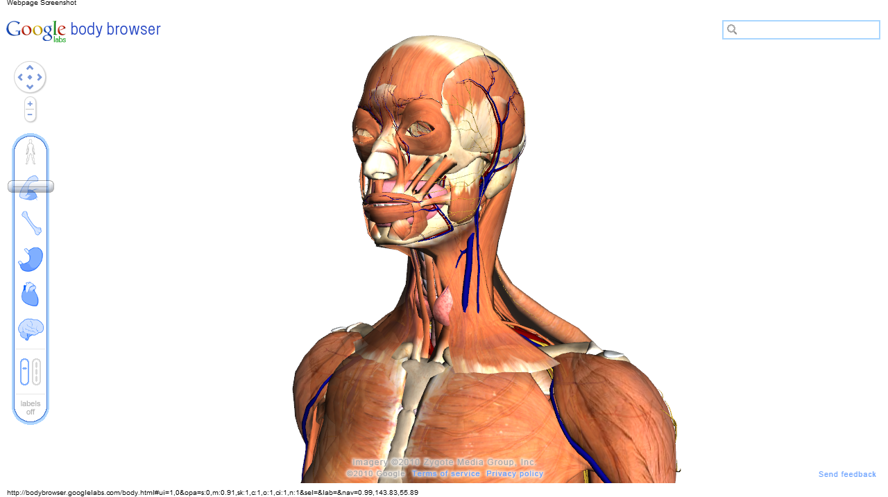 Google labs body browser : Explorer le corps humain - Actinnovation ...